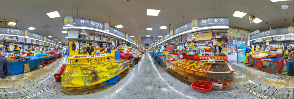 Busan Jagalchi Fish Market 360 Panorama | 360Cities