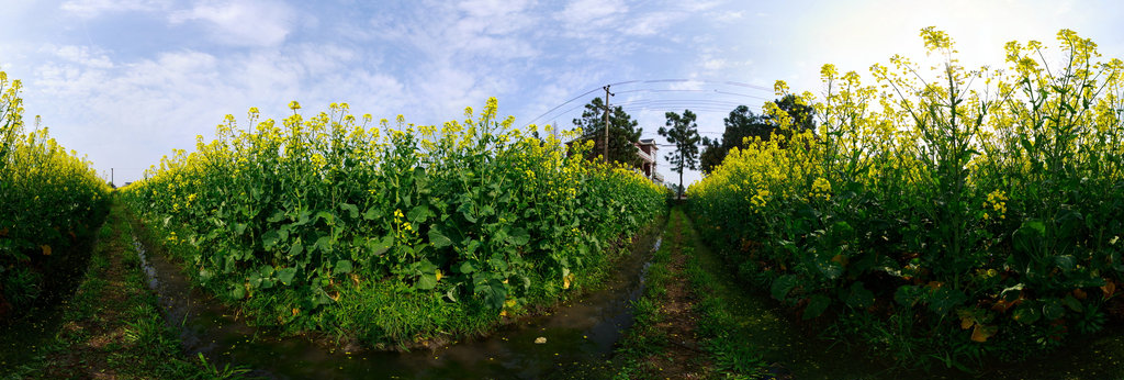 Dongtang Cun 107 360 Panorama | 360Cities