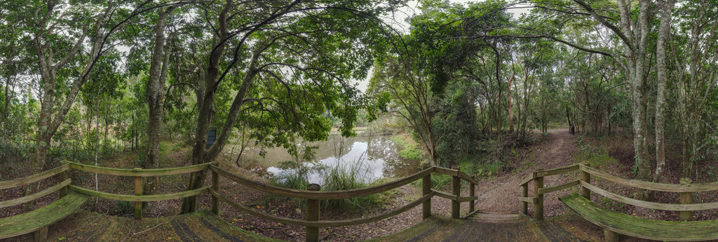 Wetlands bird observation deck 360 Panorama | 360Cities