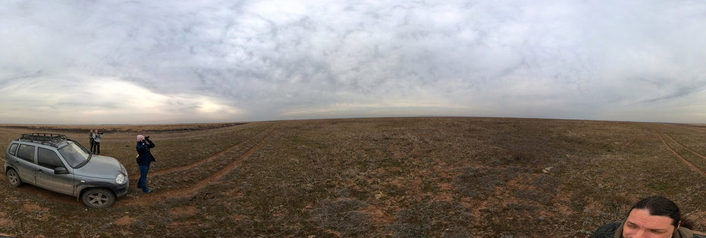 Anser albifrons on Tsatsa lake 360 Panorama | 360Cities