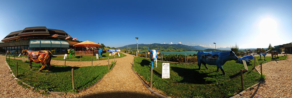 Restoroute de la Gruyère, collection de vaches peintes 360 Panorama ...