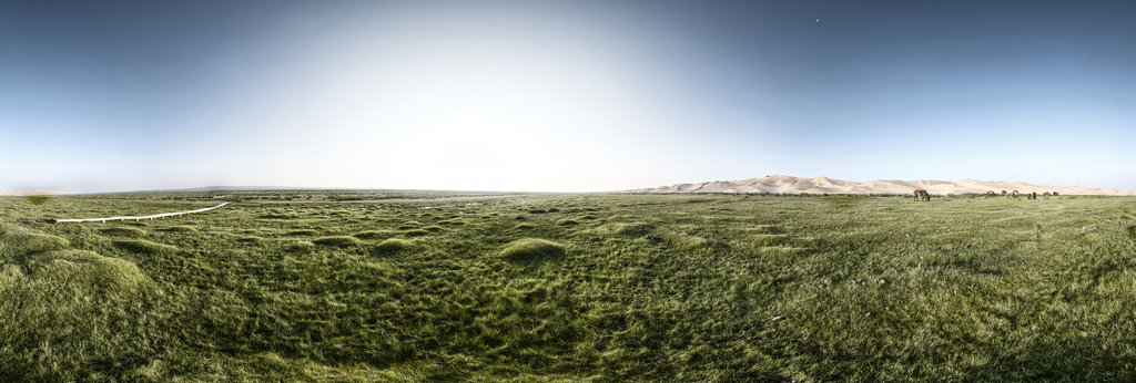 Horses Grazing by Dunes and the Khongoriin Gol in the Gobi Desert IV ...