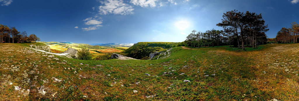Pine Trees 360 Panorama | 360Cities
